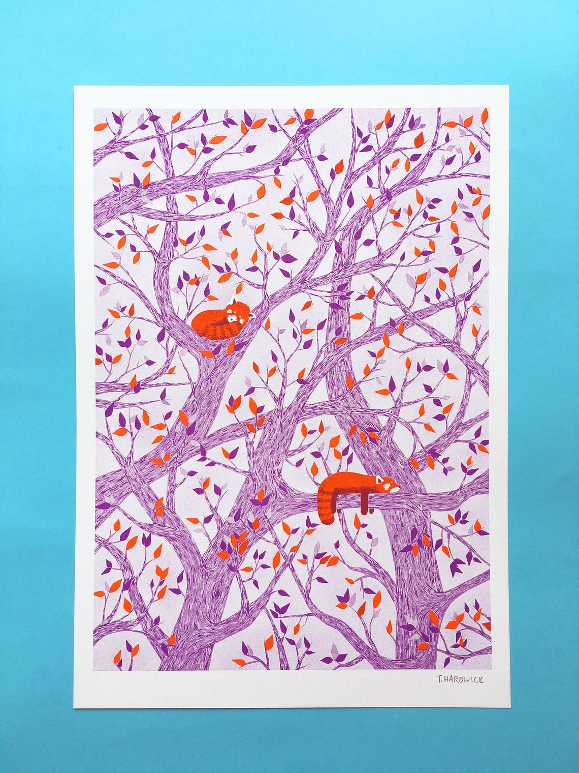 Red Pandas Risograph A4 Print – Handmade Nottingham