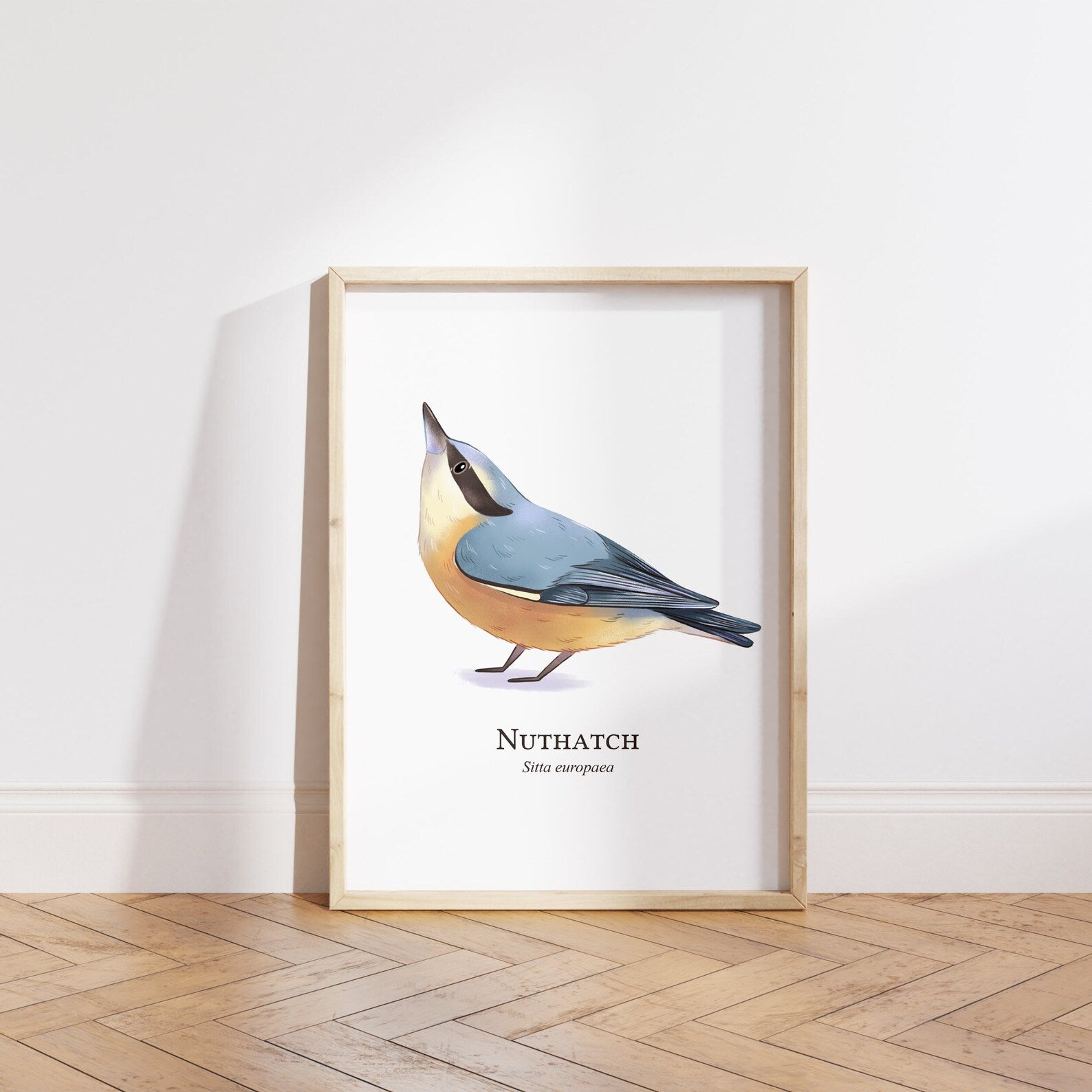Nuthatch Print – Handmade Nottingham